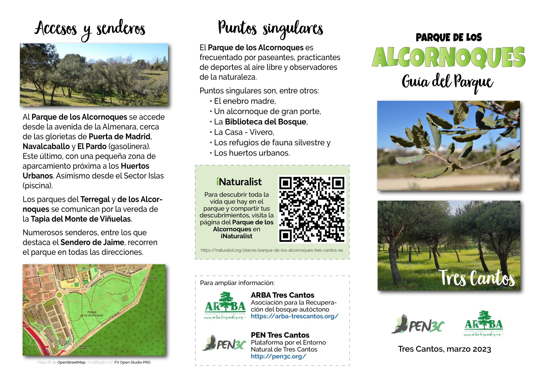 ¡Conoce el Parque de los Alcornoques! – ARBA Tres Cantos